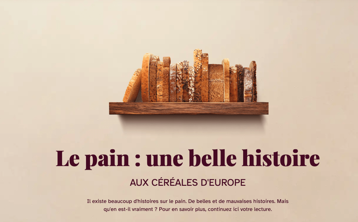 ‘Le pain, une belle histoire’ met l’accent sur le pain complet - Brood ...